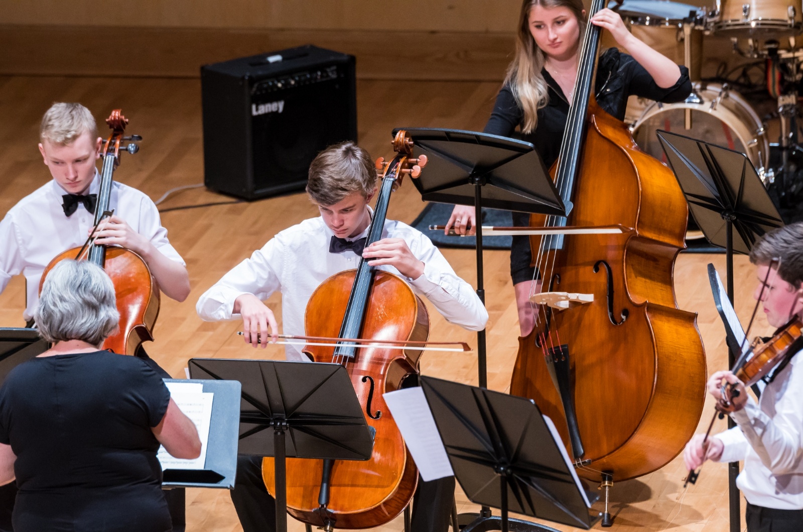 Saffron Walden County High School - SWCHS Concerts