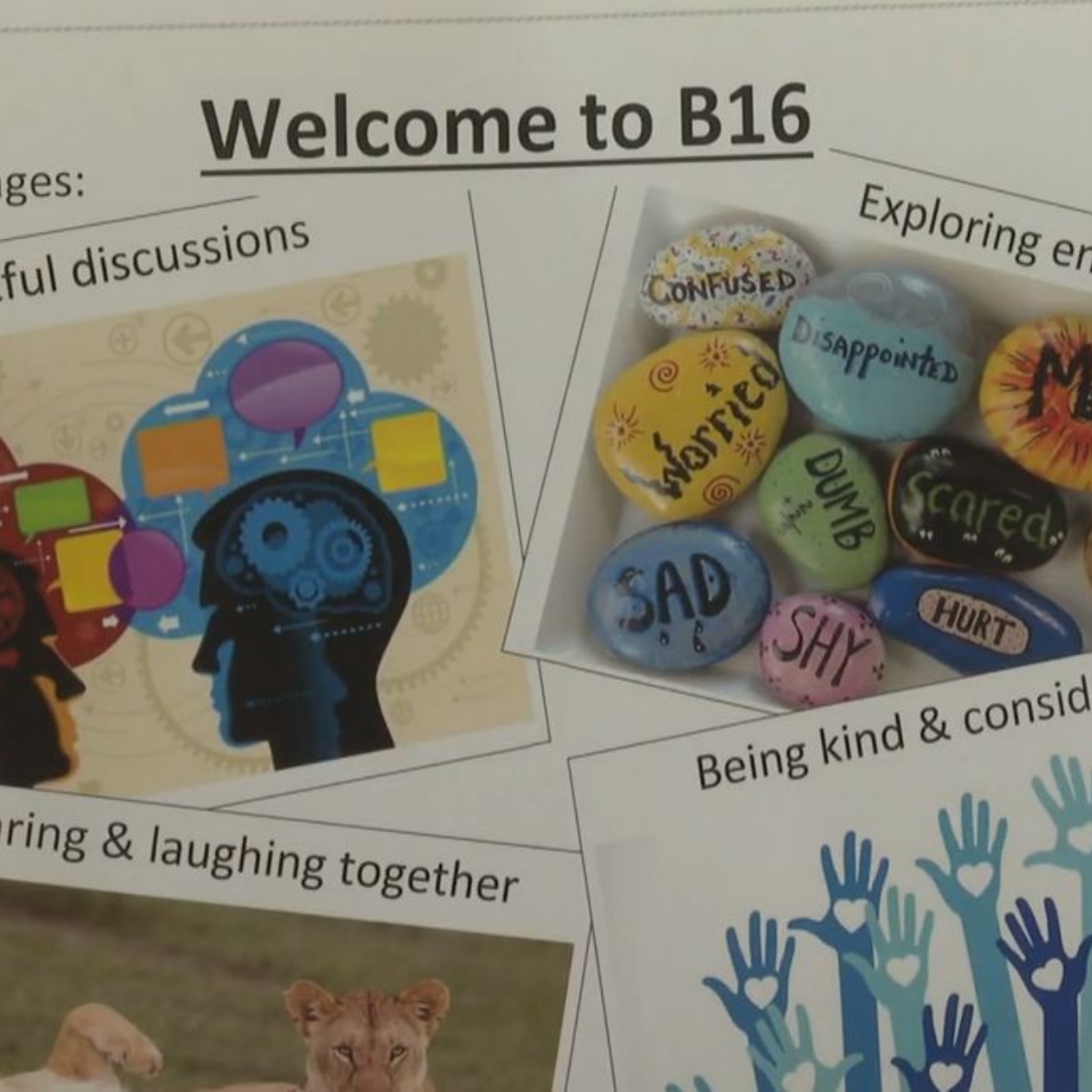 Saffron Walden County High School - SIxth Form Student starts ...