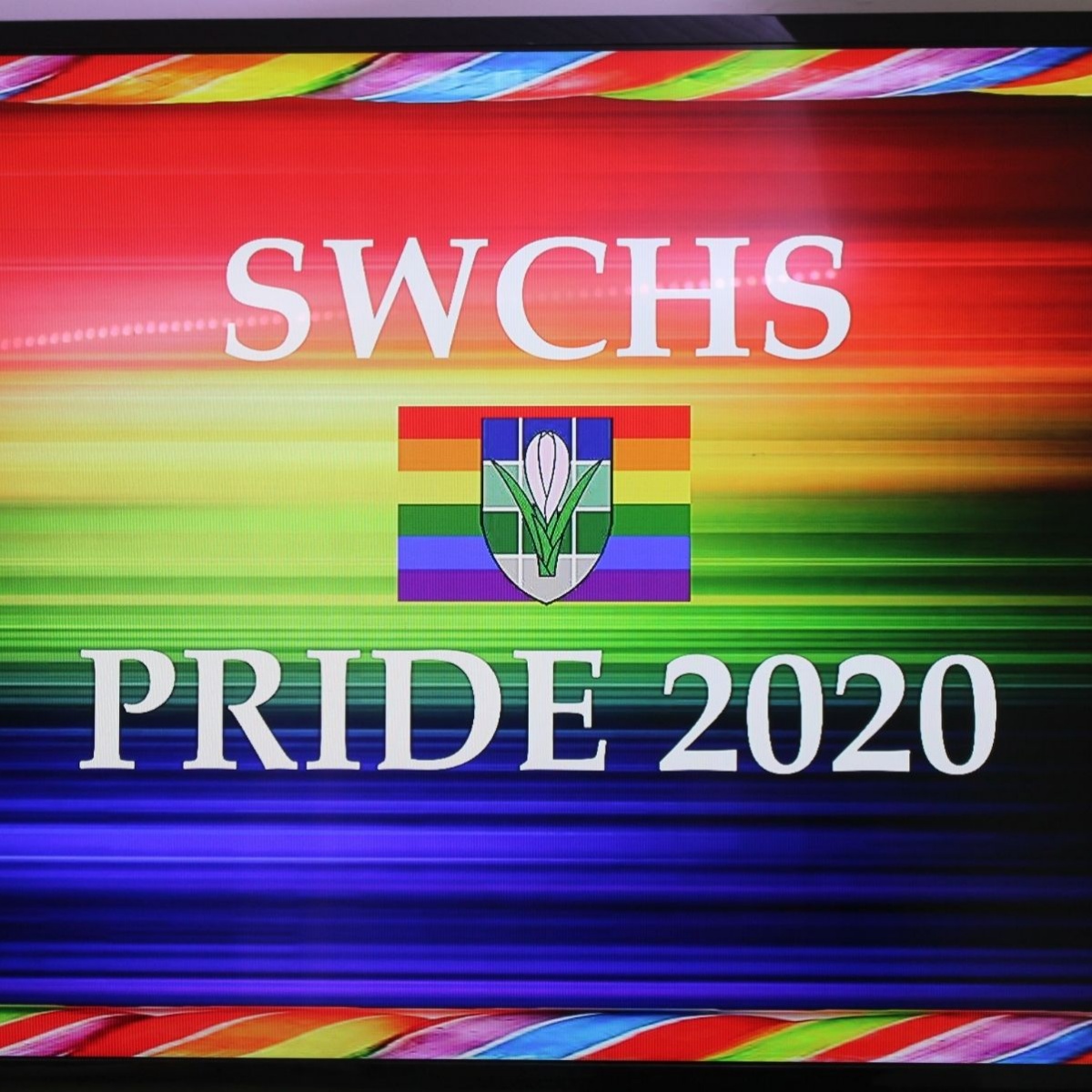 Saffron Walden County High School - SWCHS PRIDE DAY